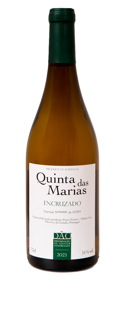 QUINTA DAS MARIAS ENCRUZADO - Vinilogia